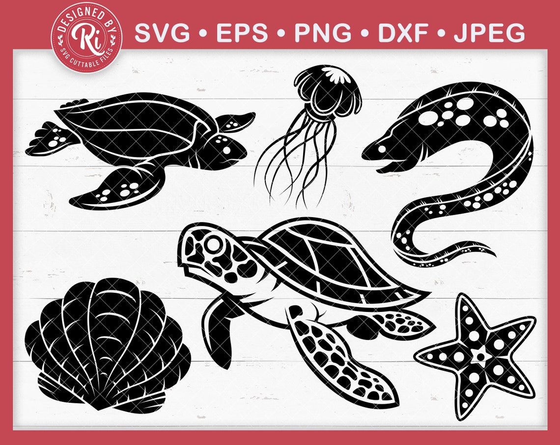 Ocean Creatures Svg Bundle Sea Creatures SVG Bundle Turtle - Etsy