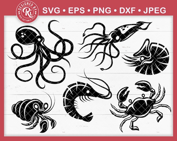 Ocean Creatures Svg Shrimp Svg Octopus Svg Crab Svg | Etsy