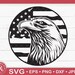 American Eagle Svg, US Bald Eagle Flag, Eagle Clipart, 4th of July ...