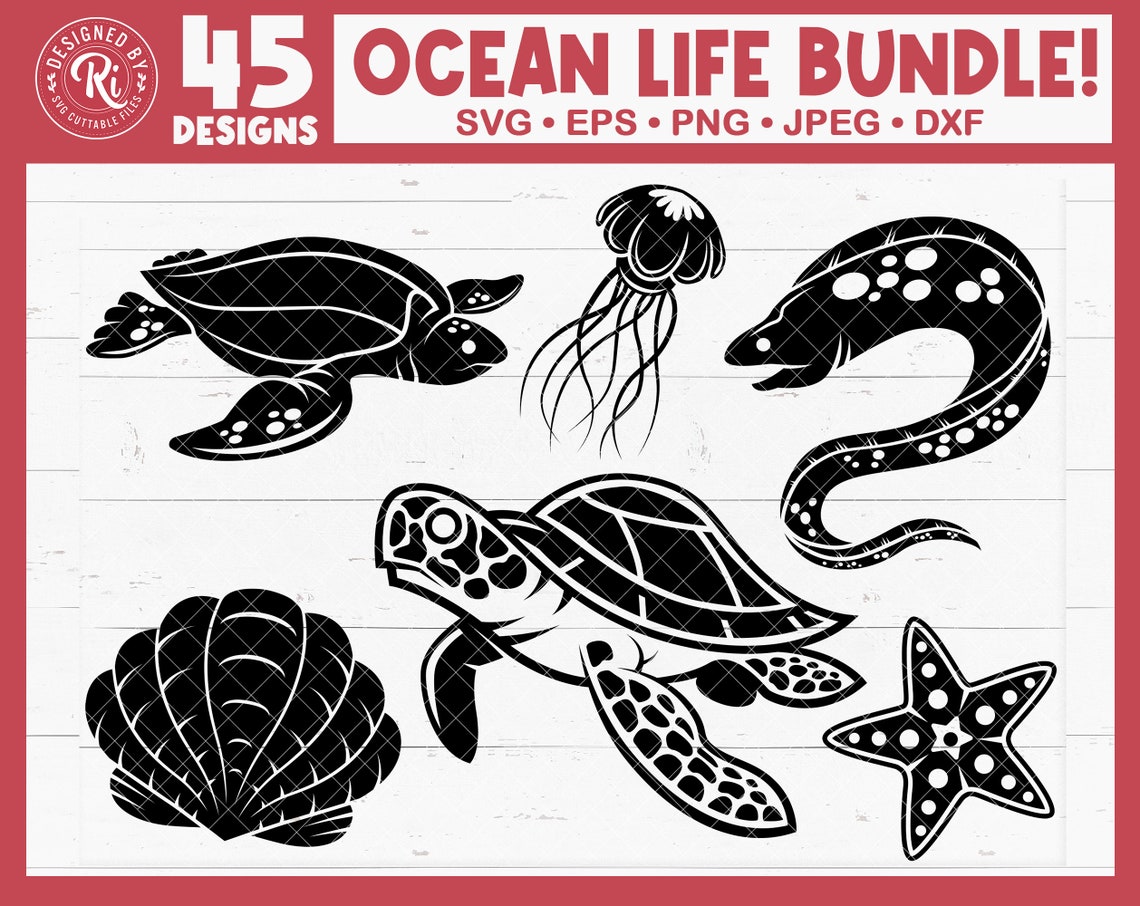Sea Animals Svg Bundle Sea Life Svg Ocean Animals Svg | Etsy