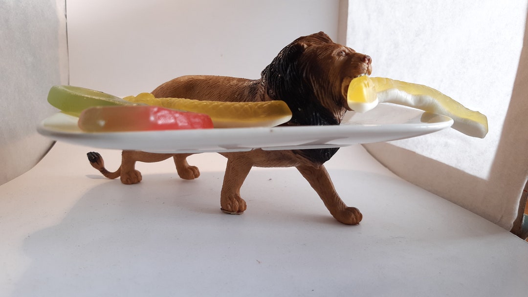 Crustacean Lion. That's What These Funny Animals Carrying - Etsy