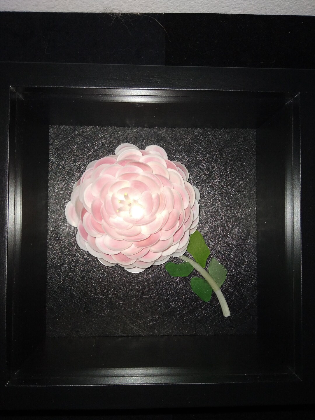 Pink Shell Flower in Black Shadow Box 6x6x3 - Etsy