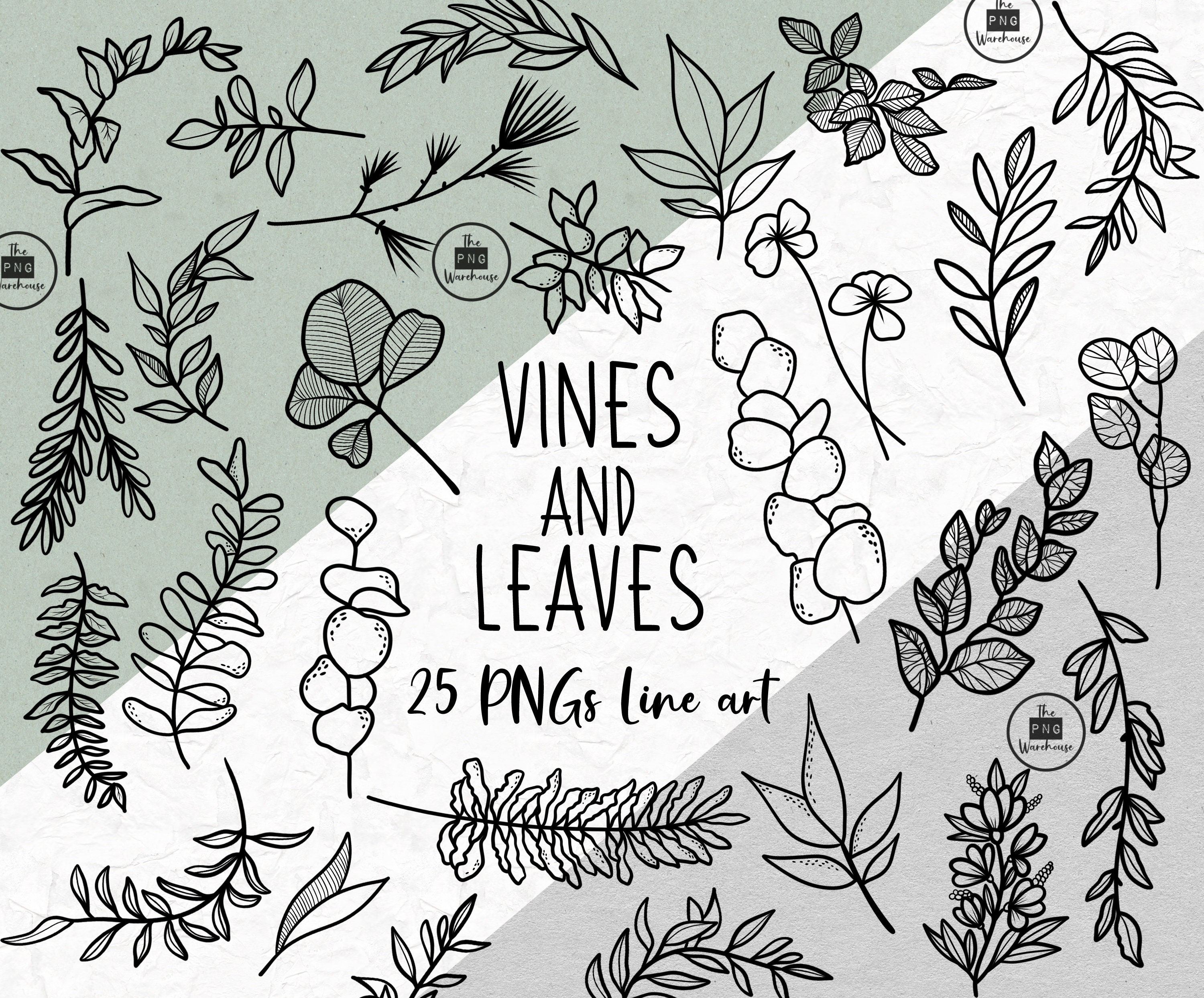 VINES and LEAVES Lineart Elements 25 Png Clip Art Designs - Etsy