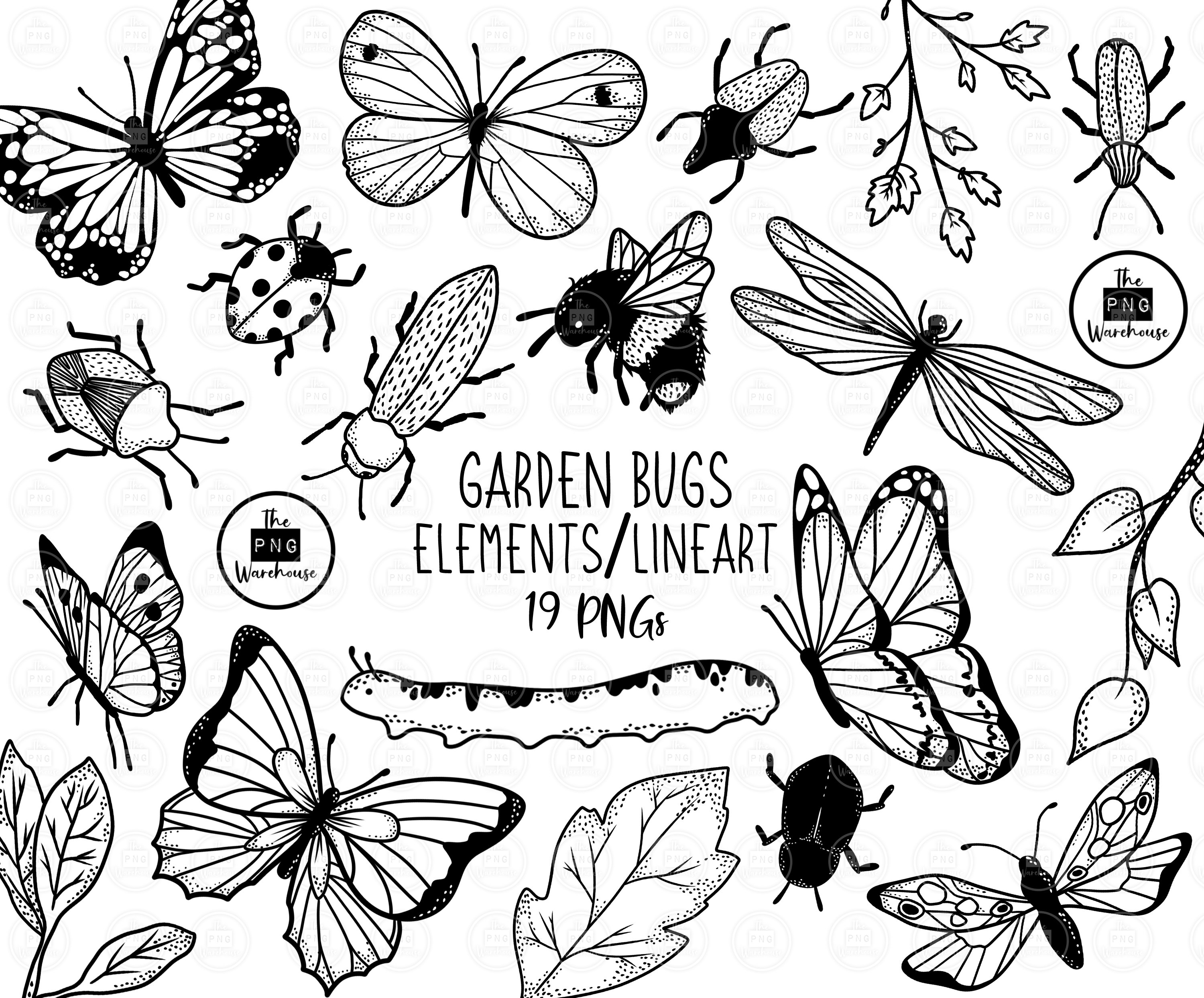 GARDEN BUGS Lineart Elements 19 Png Clip Art Designs - Etsy UK