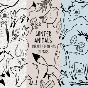 WINTER ANIMALS Lineart Elements - 21 Png Clip Art Designs - Instant ...