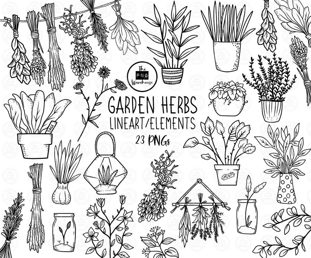 GARDEN HERBS Lineart Elements - 23 Png Clip Art Designs - Instant ...