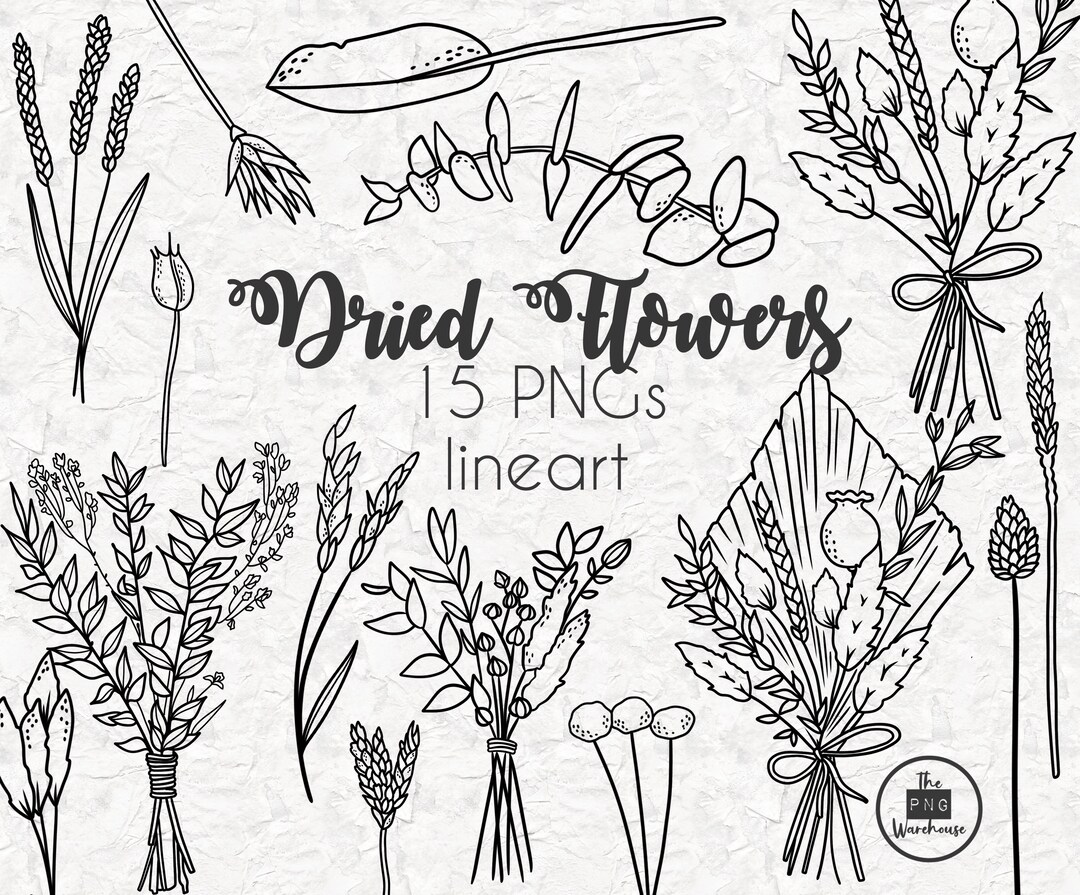DRIED FLOWERS Lineart Elements - 15 Png Clip Art Designs - Instant ...