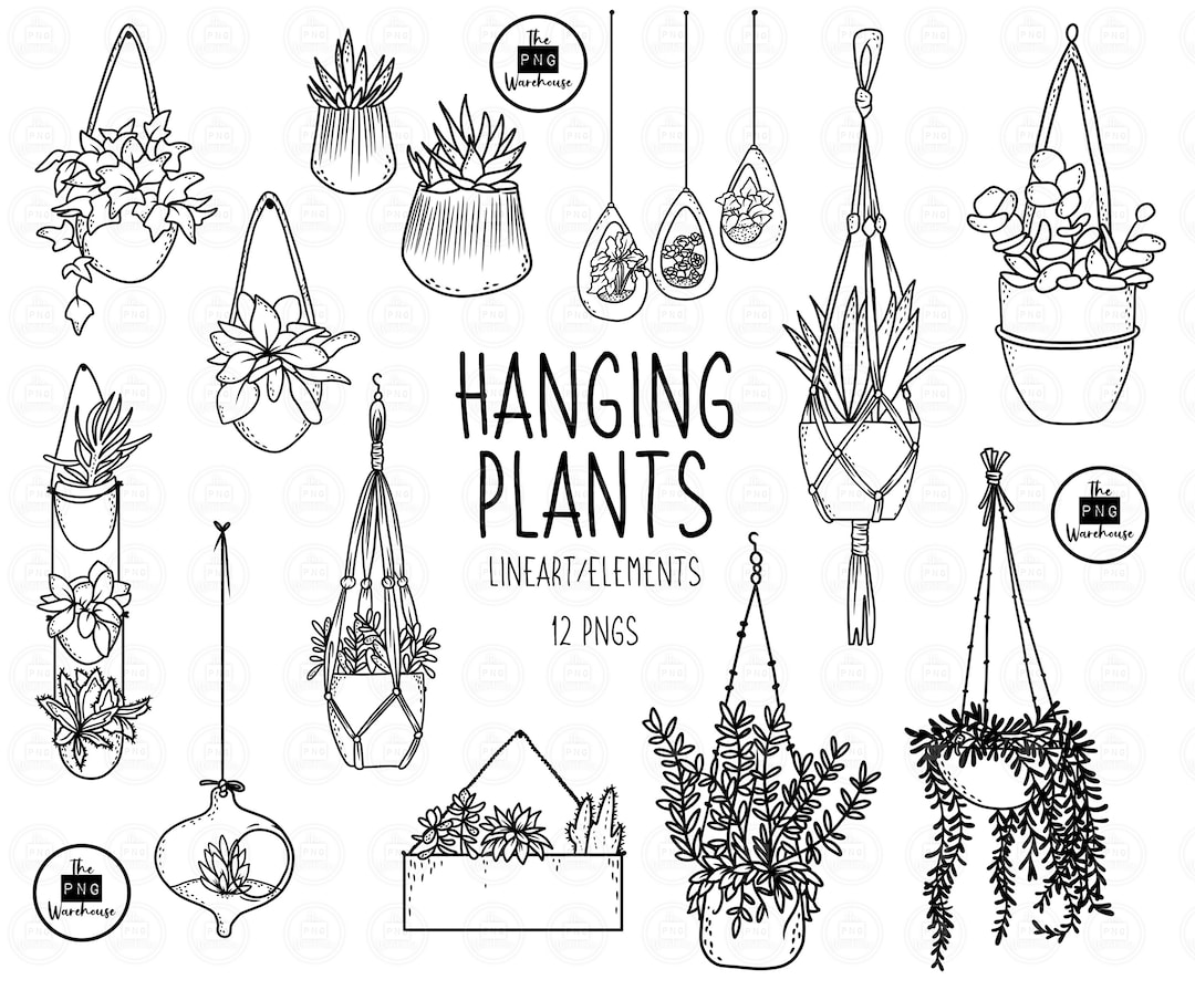 HANGING PLANTS Lineart Elements - 12 Png Clip Art Designs - Instant ...