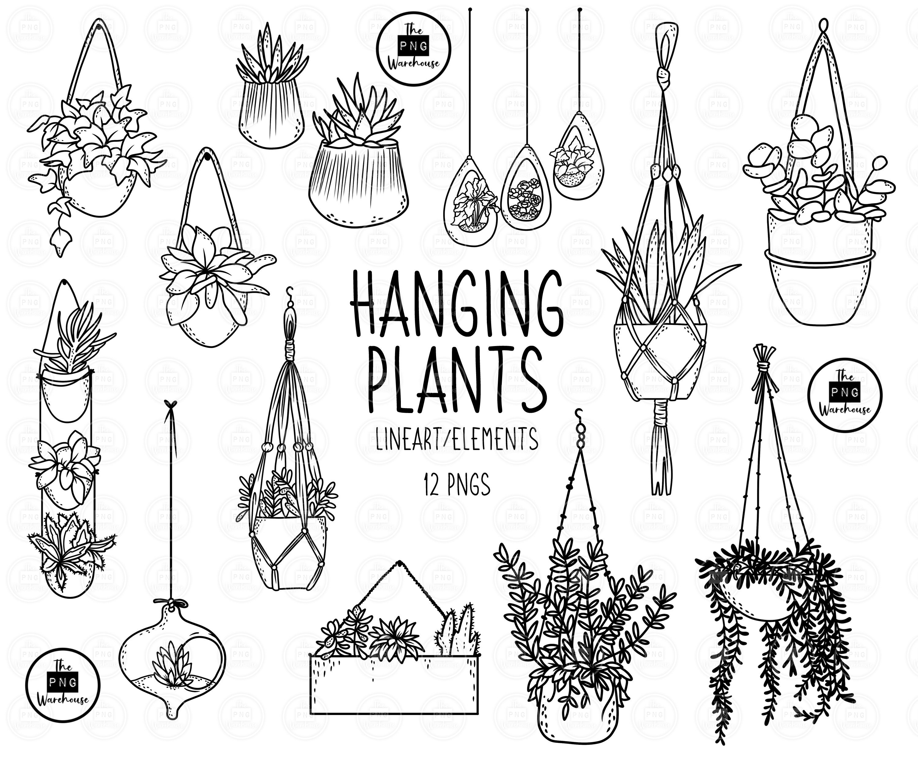 HANGING PLANTS Lineart Elements 12 Png Clip Art Designs | Etsy