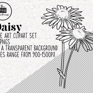 DAISY Lineart Elements - 16 PNG Clip Art Designs - Instant Download 300 ...