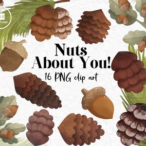 NUTS ABOUT YOU Clipart Pack 16 Pngs Instant Download 300dpi Clip Art ...