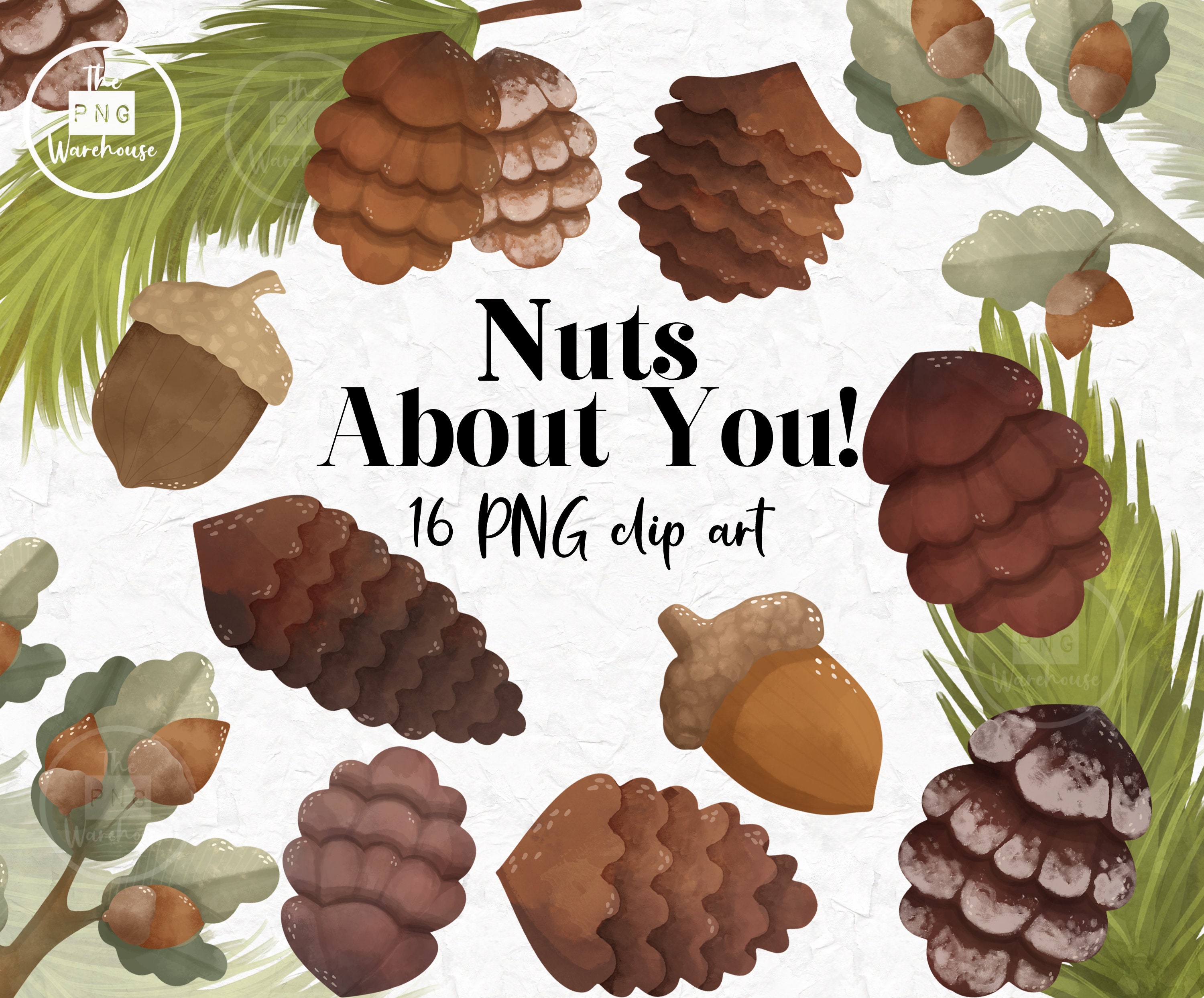 NUTS ABOUT YOU Clipart Pack 16 Pngs Instant Download - Etsy UK