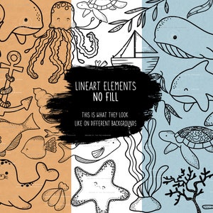 SEA CREATURES Lineart Elements - 24 Png Clip Art Designs - Instant ...