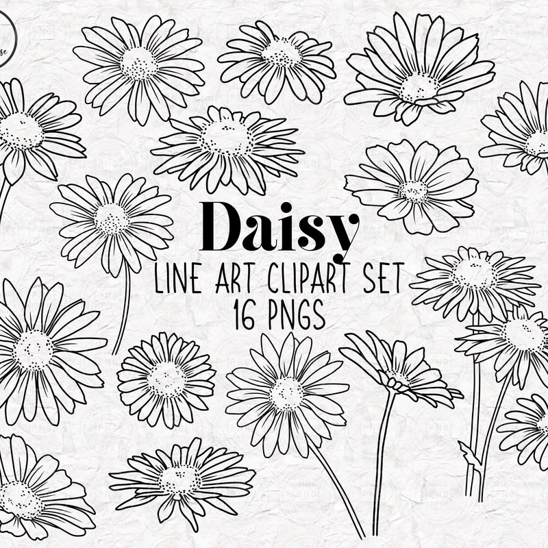Gothic Daisy - Etsy