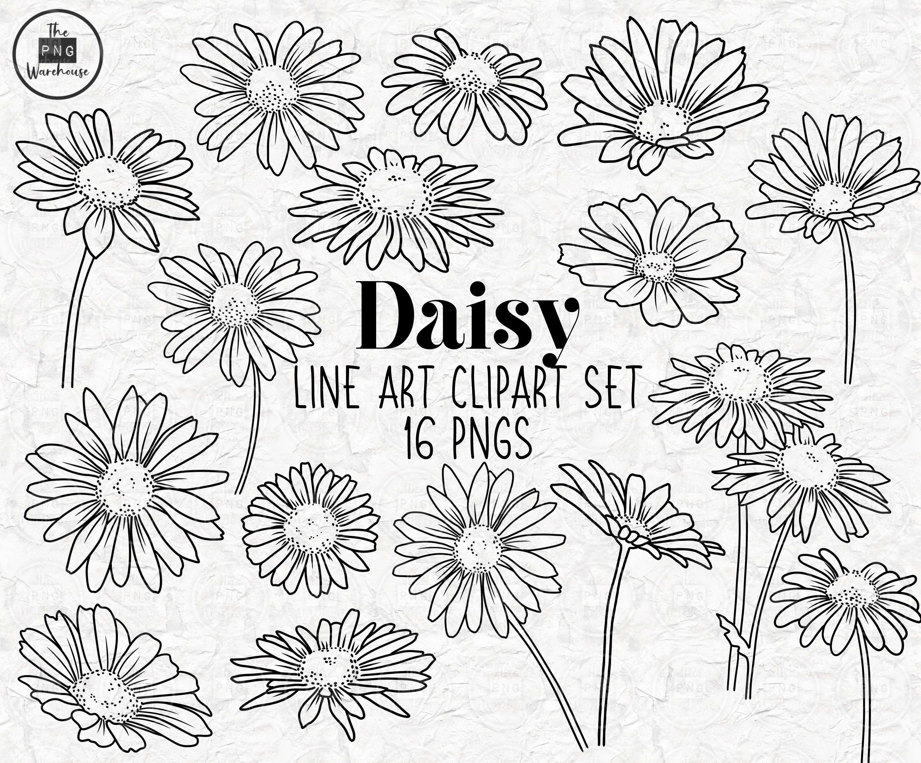 DAISY Lineart Elements 16 PNG Clip Art Designs Instant - Etsy Australia