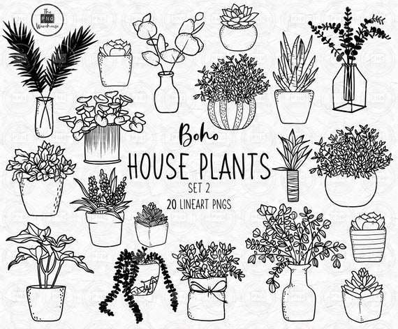 BOHO HOUSE PLANTS Lineart Elements 20 Png Clip Art Designs | Etsy