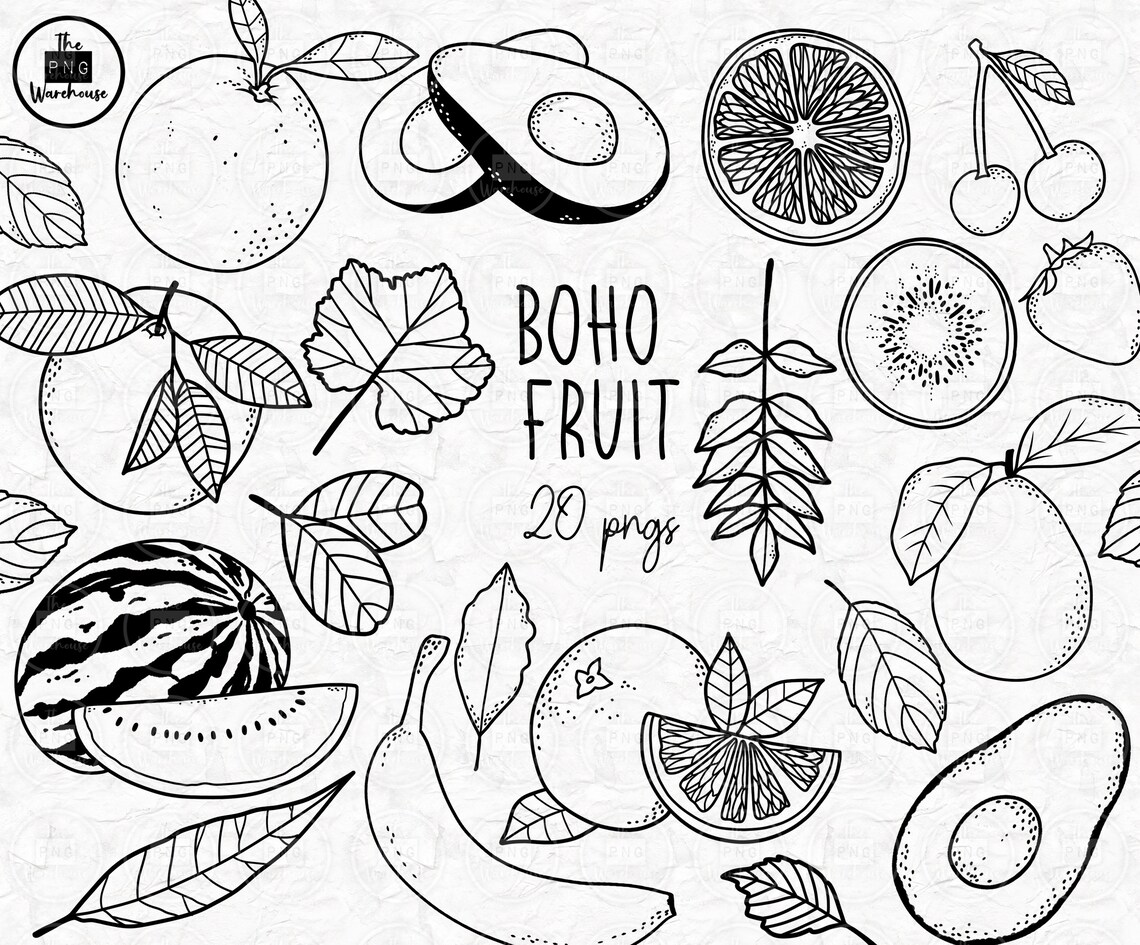 BOHO FRUIT Lineart Elements - 20 Png Clip Art Designs - Instant ...