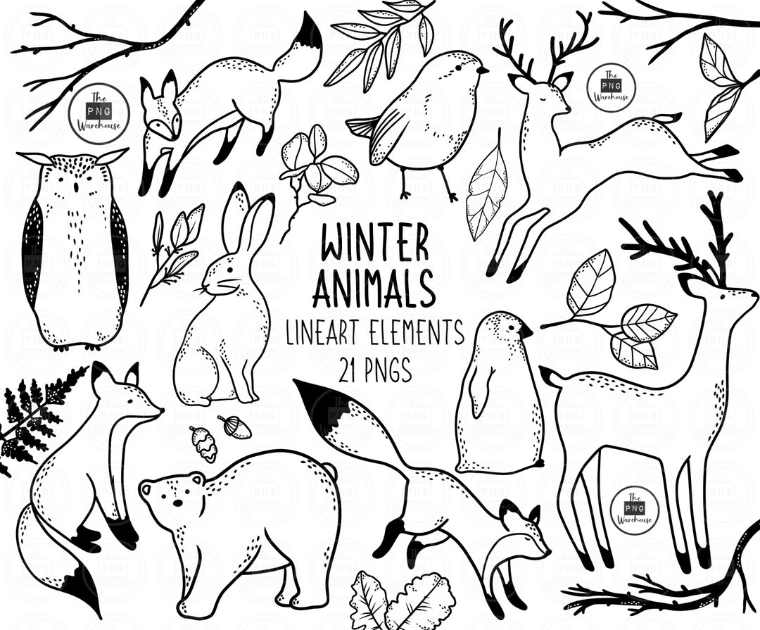 WINTER ANIMALS Lineart Elements - 21 Png Clip Art Designs - Instant ...