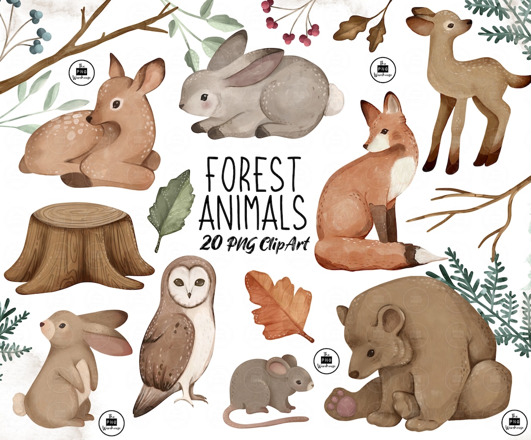 FOREST ANIMALS CLIPART - 20 Pngs - Instant Download - 300dpi - Clip Art ...