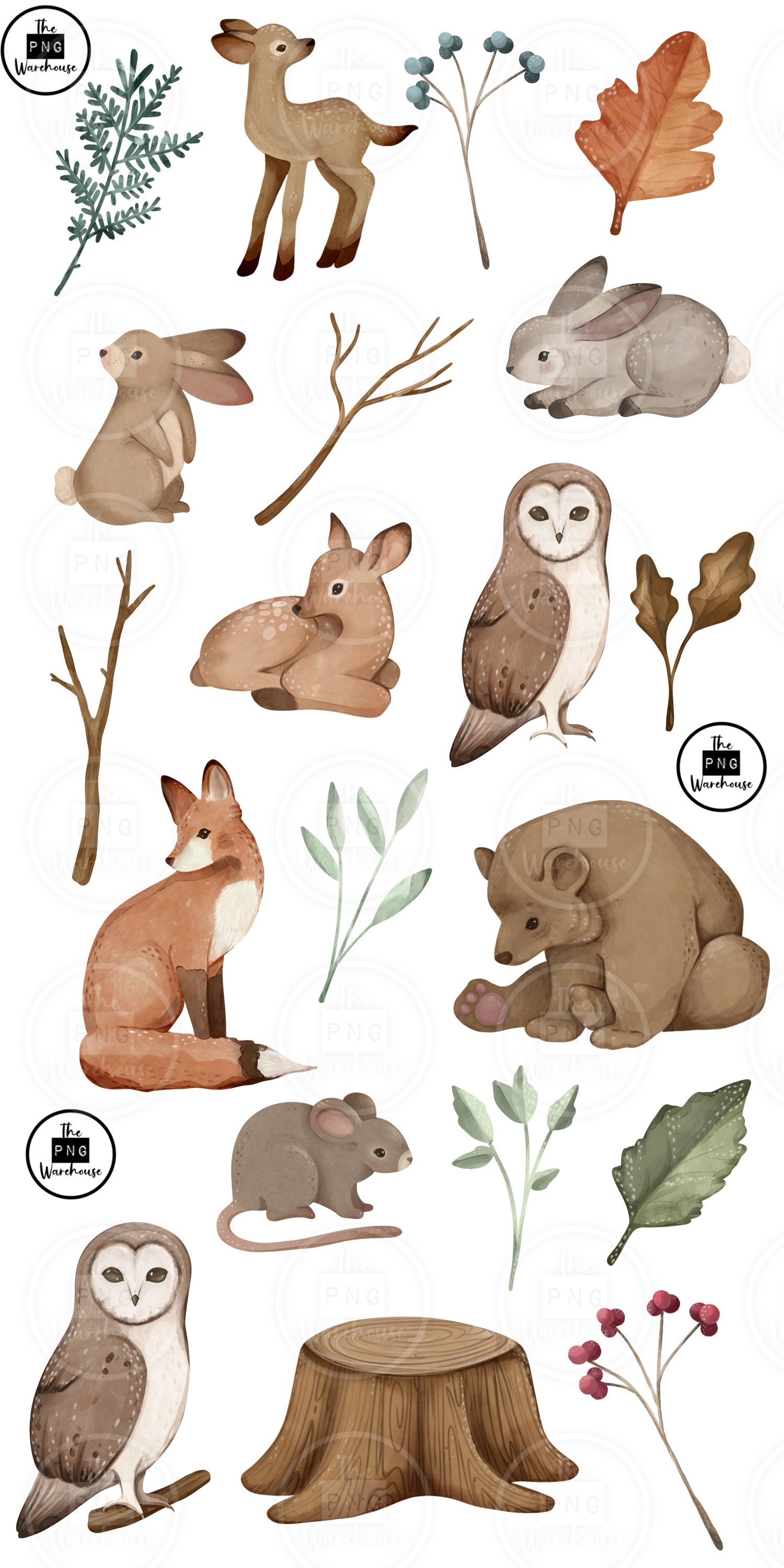 FOREST ANIMALS CLIPART - 20 Pngs - Instant Download - 300dpi - Clip Art ...