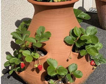 Extérieur et jardinage - Etsy France