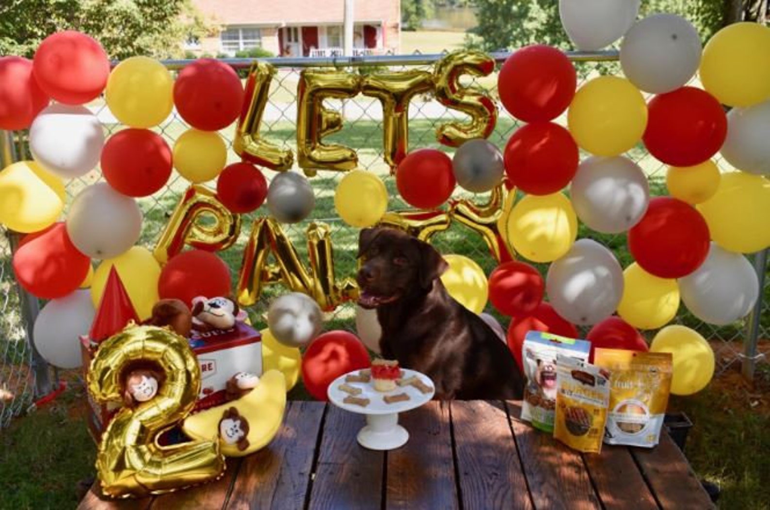 Lets Pawty Lets Pawty Balloon letter Balloons balloon - Etsy