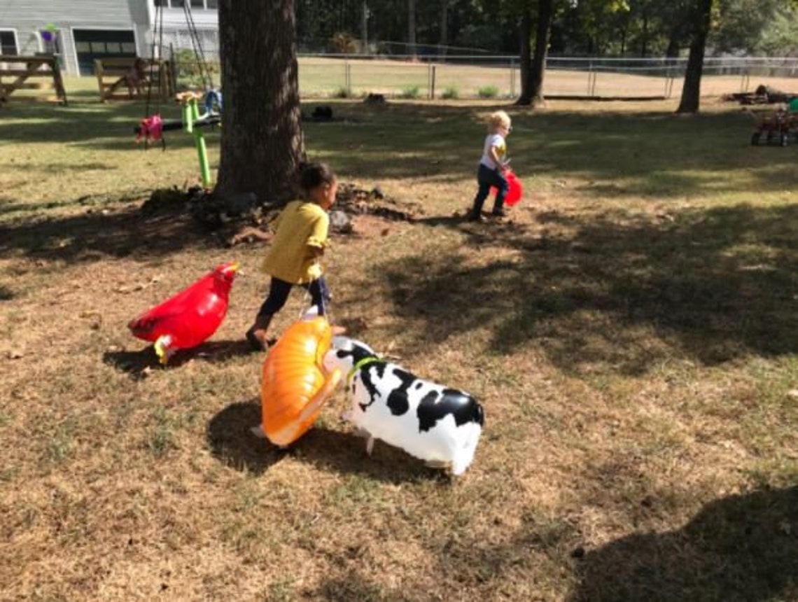 Animal Balloons Farm Animal Decorations Farm Decorations - Etsy