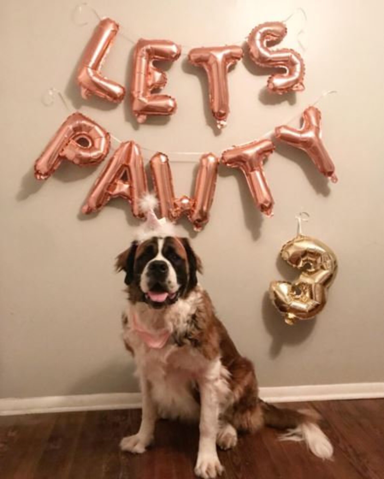 Lets Pawty Lets Pawty Balloon letter Balloons balloon | Etsy