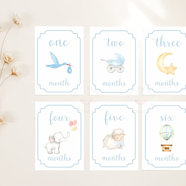 Milestone Cards - Etsy