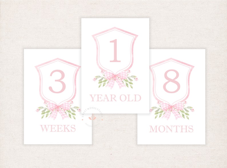Girl Milestone Cards, Floral Crest, Pink Gingham Bow Milestone ...