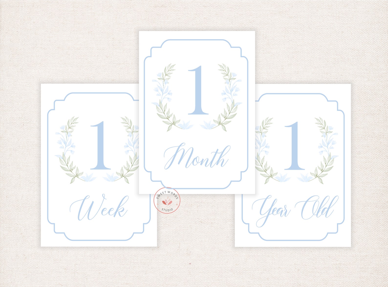 Boy Monthly Milestone Cards, Set of 16 Blue Milestone Cards, Baby ...