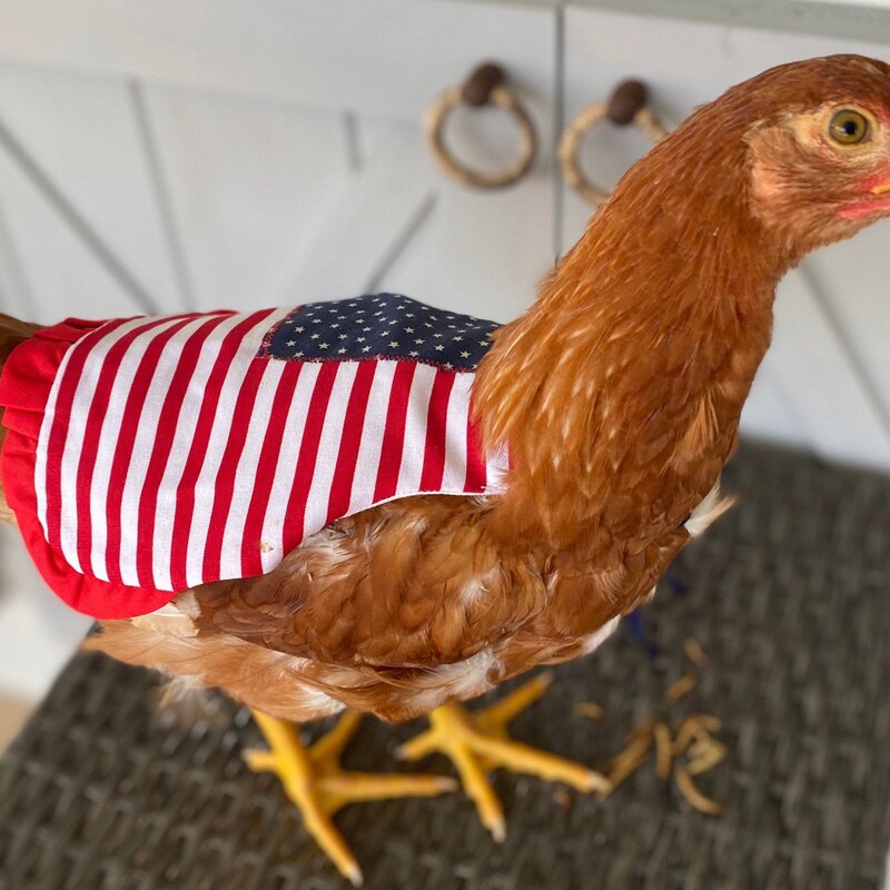 Clothes for Chickens - Etsy