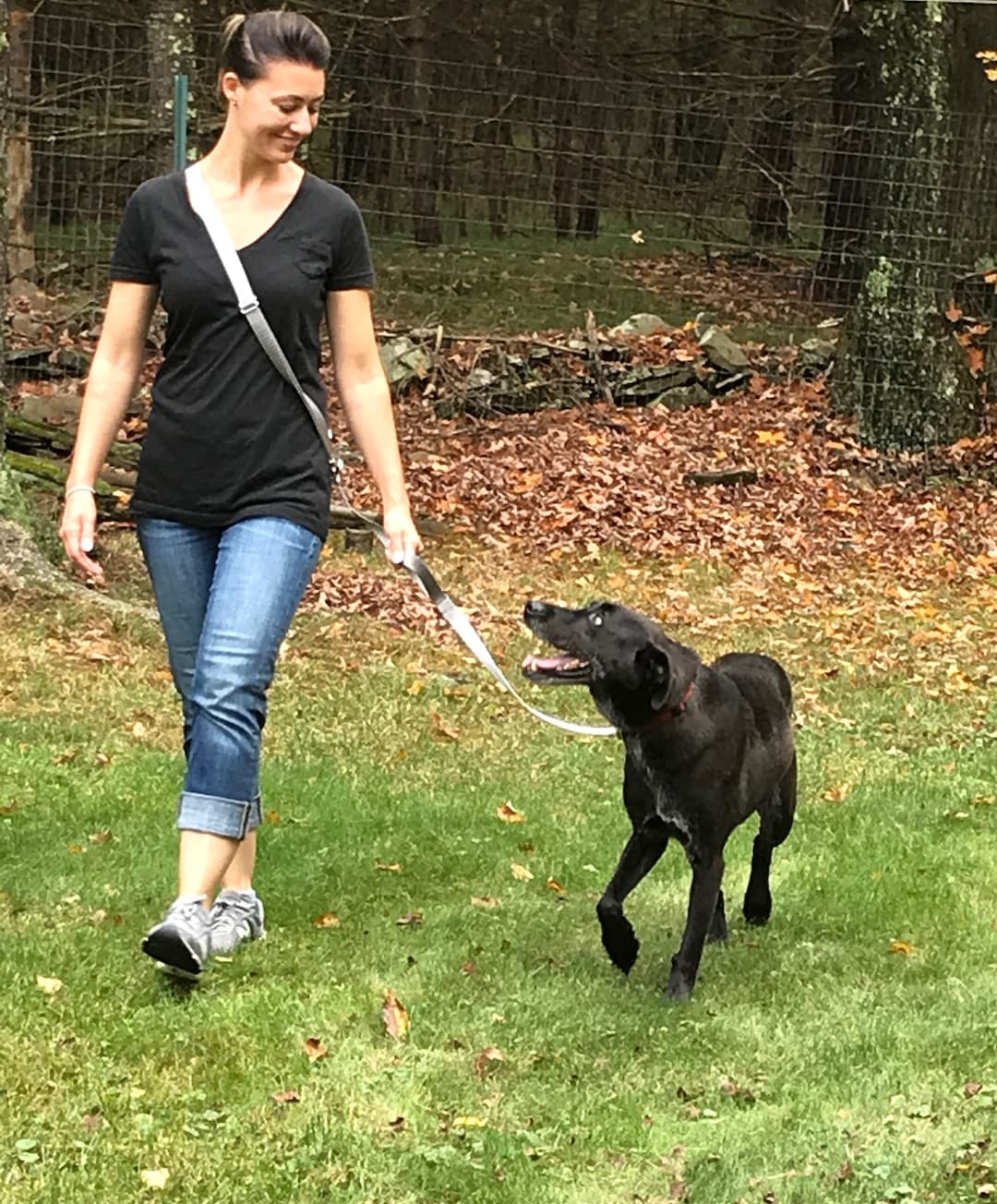 Hands Free Dog Leash With Traffic Handle - Adjustable Over the Shoulder ...