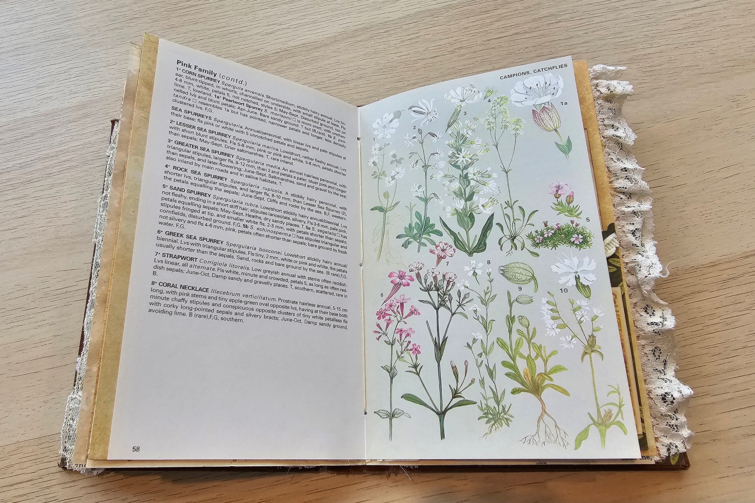 Homestead on the Hillside Journal Handmade Vintage Lady Junk Journal ...