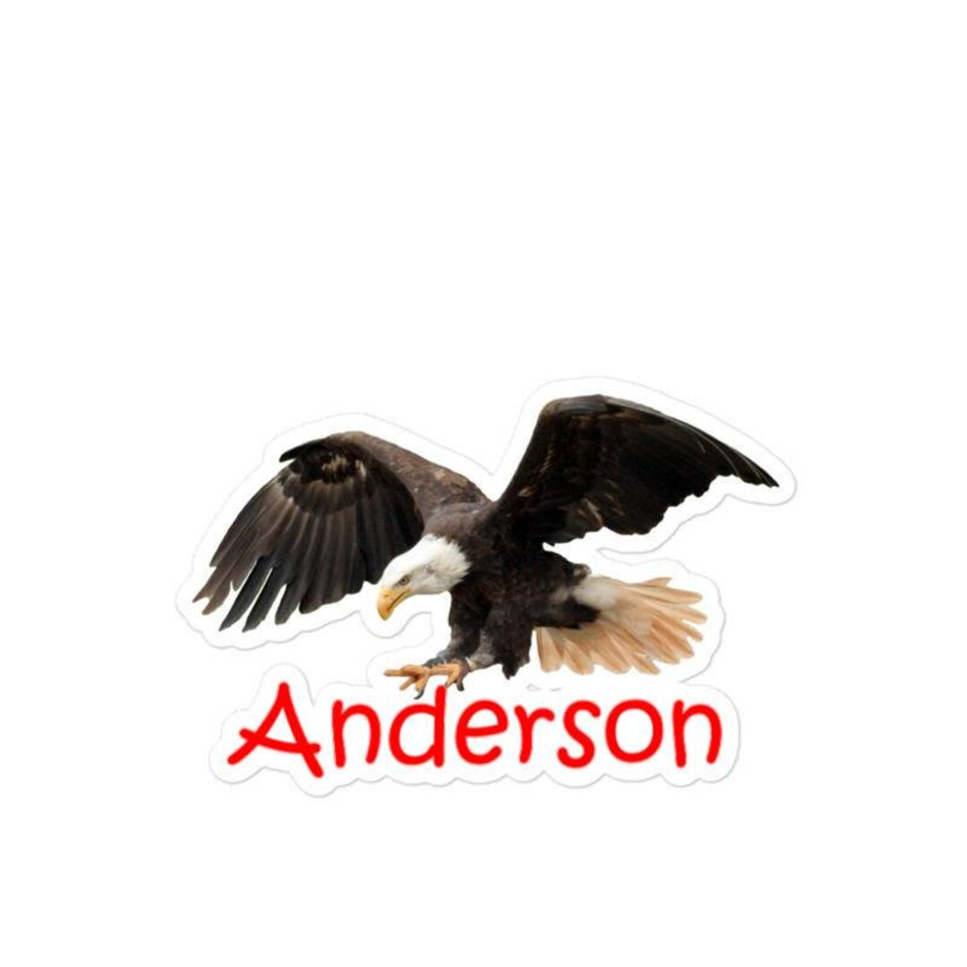Your Name Bald Eagle PERSONALIZED CUSTOM STICKERS - Etsy