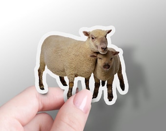 Sheep Decal, Vinyl Sheep Sticker, Laptop Sticker, Water Bottle Sticker ...