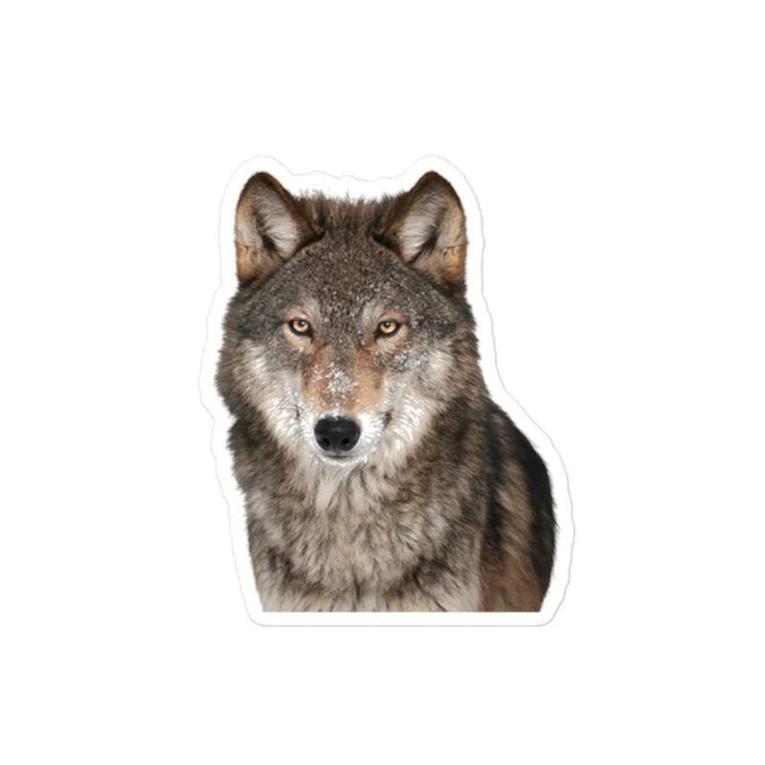 Wolf Sticker - Etsy