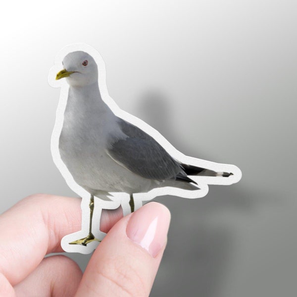 Gull Sticker - Etsy
