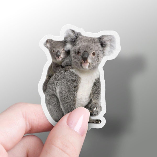 Koala Sticker - Etsy