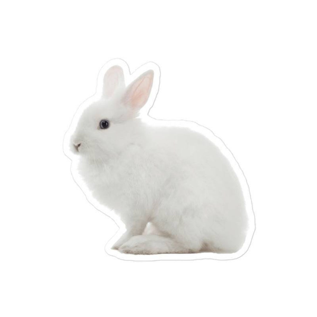 White Bunny Rabbit Sticker - Etsy