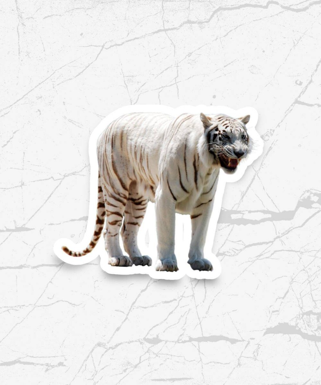White Tiger Sticker - Etsy