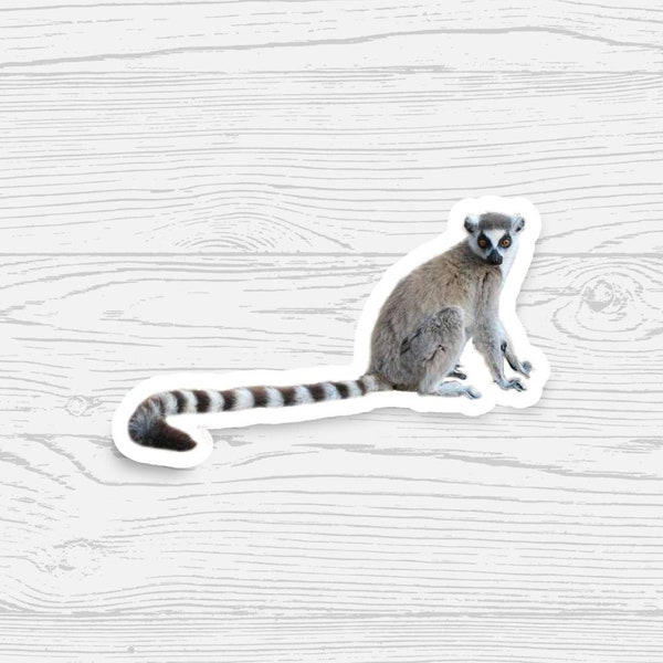 Lemur Sticker - Etsy