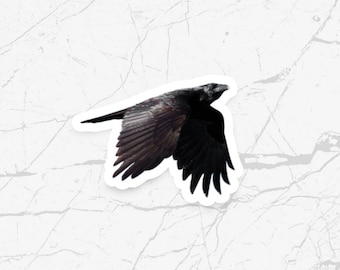 Crow Vinyl Sticker for Laptop, Tumbler, Skateboard, Phone, Etc - Etsy