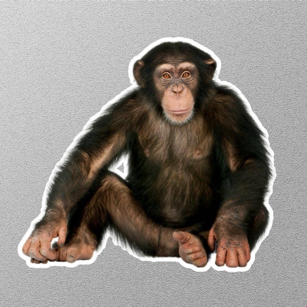 Chimpanzee Sticker - Etsy