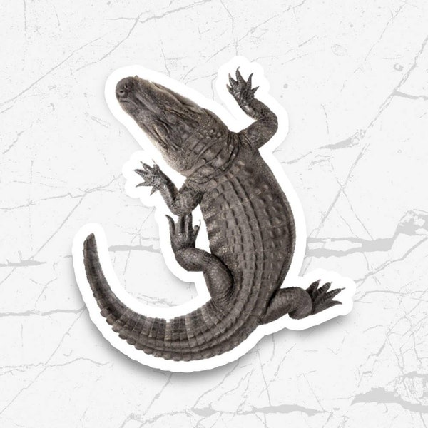 Alligator Sticker - Etsy