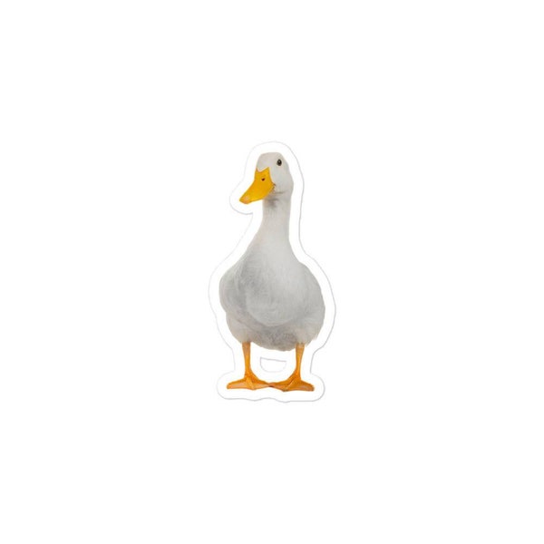 Duck Stickers - Etsy