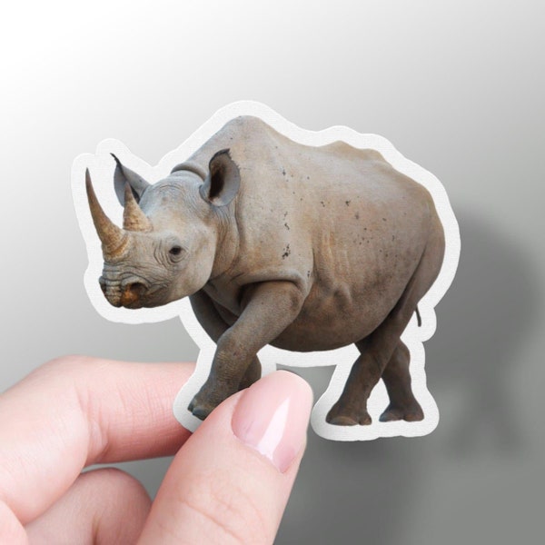 Rhino Sticker - Etsy