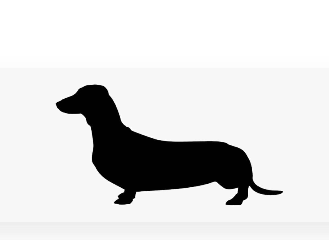 Weiner Dog Vinyl Decal Sticker Black - Etsy