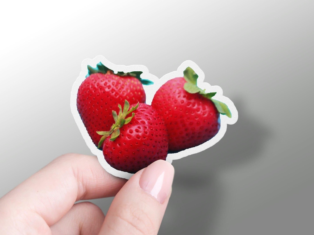 Strawberry Sticker - Etsy