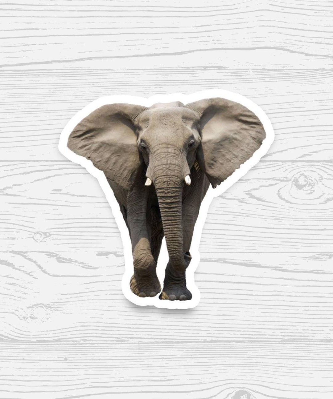 Elephant Sticker - Etsy